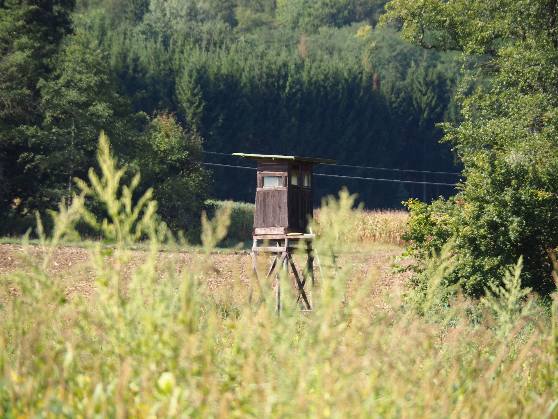 Defective Tree Stands | Hunting Accidents | Product Liability Lawsuits